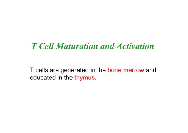 T-cell | PPTX