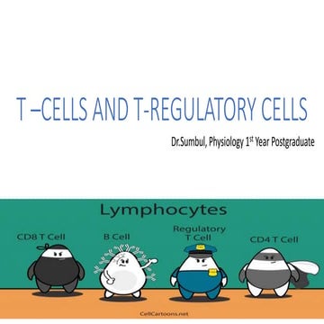 T –CELLS AND T-REGULATORY CELLxxxxxxxxxxxxxxxxxxxxS.pptx