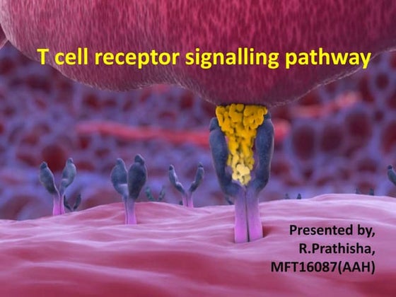 Manisha t cell | PPT