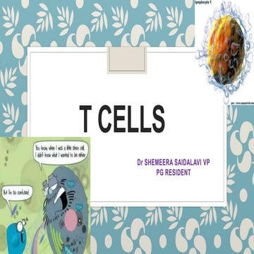 T CELL lymphocyte , its function, production and types pptx | PPTX