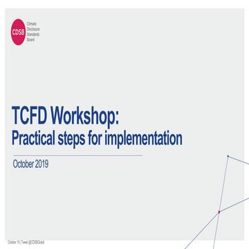 TCFD Workshop: Practical steps for implementation – Michael Zimonyi | PDF