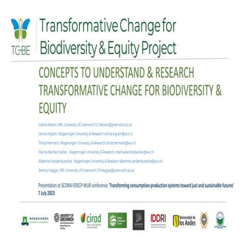 TCforBE CONCEPTS TO UNDERSTAND & RESEARCH TRANSFORMATIVE CHANGE FOR ...