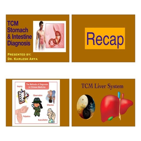 TCM Stomach-Intestine Diagnosis and traditional acupuncture | PPT