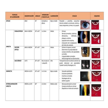 Técnicas de biomicroscopía.pdf