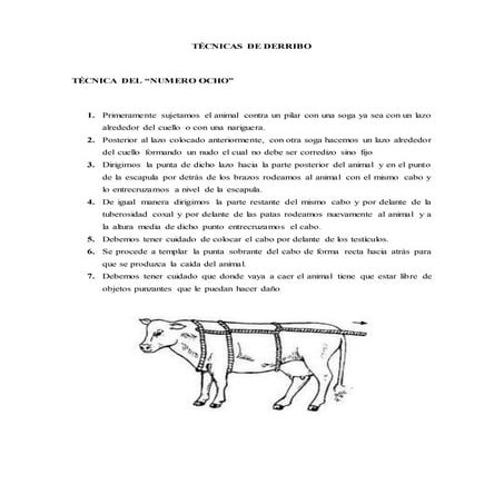 Técnicas de derribo | DOCX