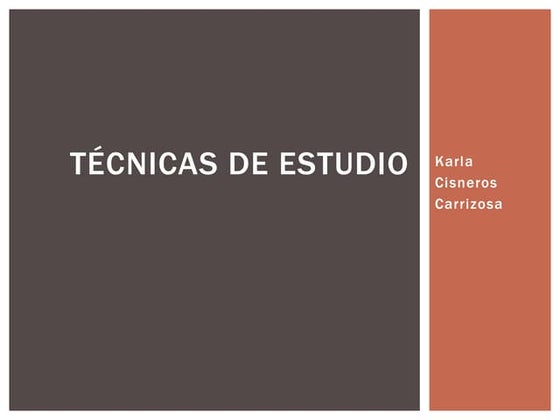 tecnicas y metodos de estudio | PDF