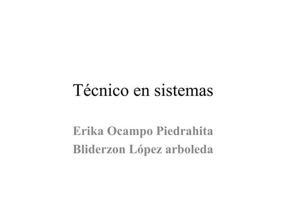 BrainBench - Flash - Results | PDF | Cameras and Camcorders | Consumer Electronics