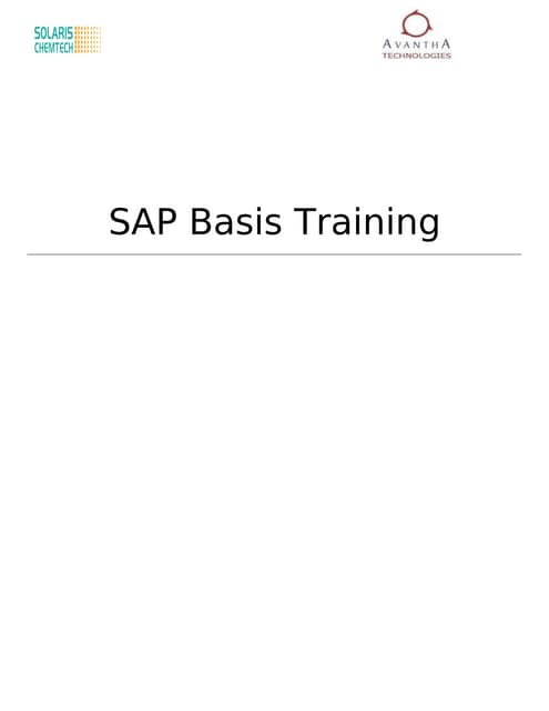 SAP BASIS Daily Monitoring T - codes | PDF
