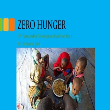 Zero Hunger.pptx