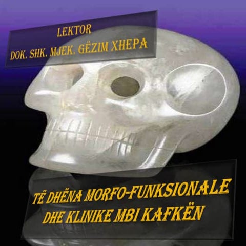 Skeleti i njeriut | PPTX