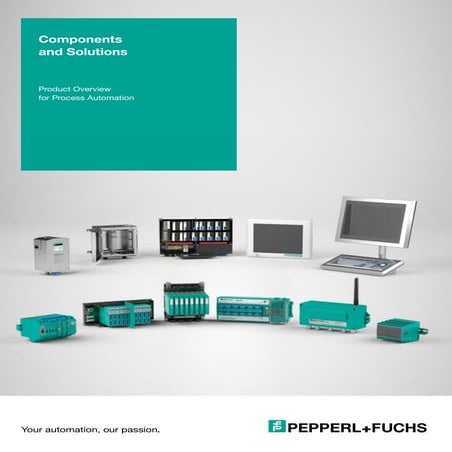 Обзор Pepperl+Fuchs | PDF