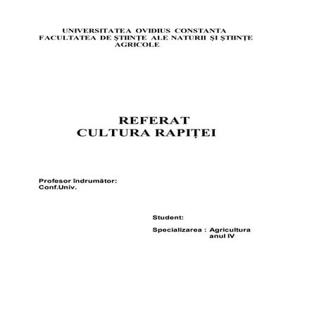 Ppt licenta final | PPTX