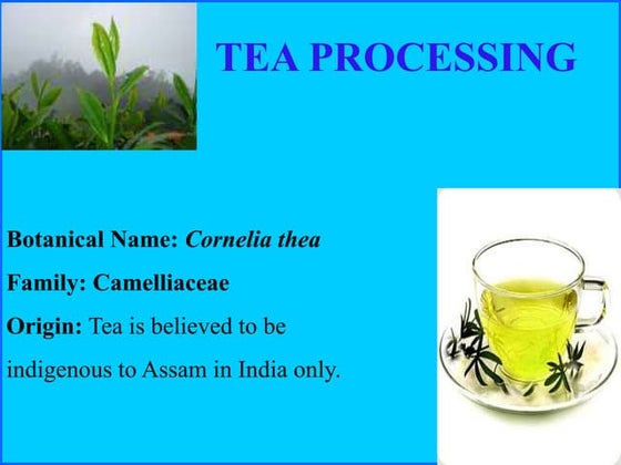 Process flow chart tea processing | PPT