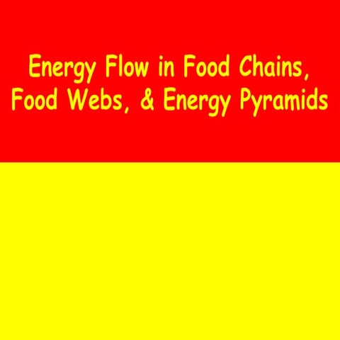 Trophic levels energy and pyramids | PPT