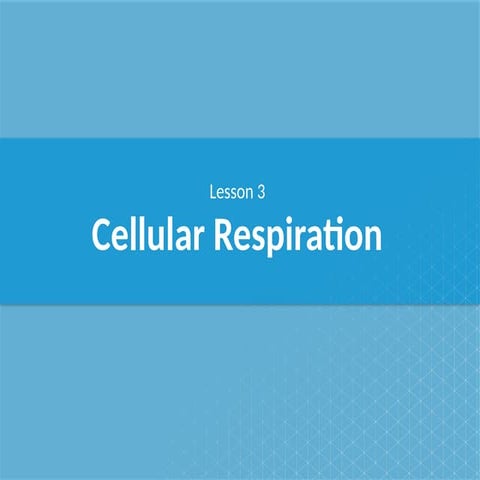 Teacher PowerPoint_3_ Cellular Respiration (2).pptx