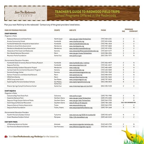 The Redwood Forest | PPT