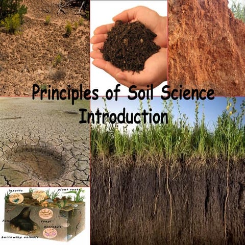 Pedology: The Science of Soil Development | PDF