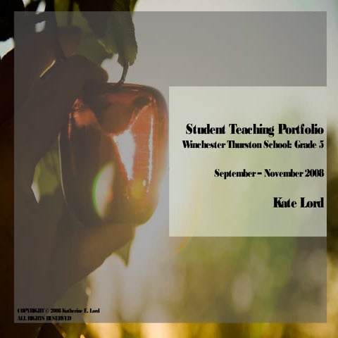 Detailed Lesson plan on persuasive writing.pdf