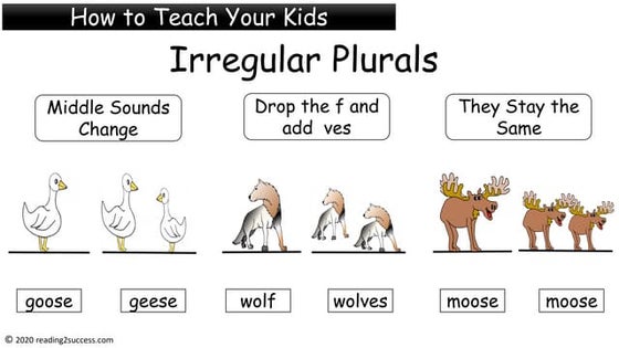 Irregular plurals 7 | PPT