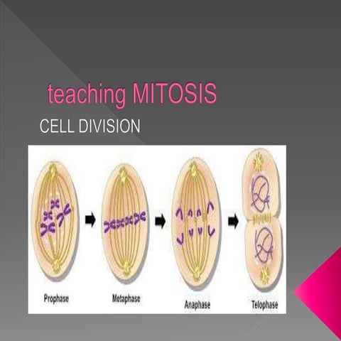 Teaching mitosis | PPTX