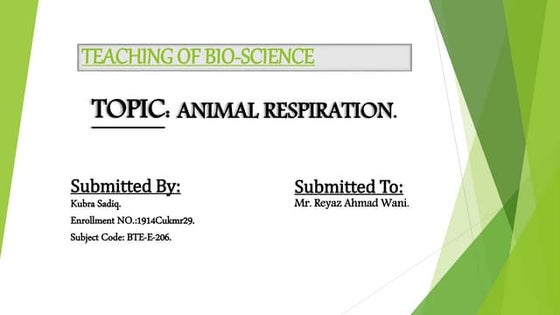 Comparative physiology of respiratory system of different species | PPT