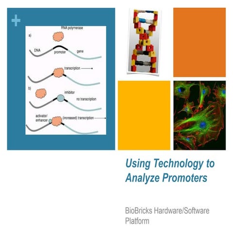 Teaching presentation | PPT