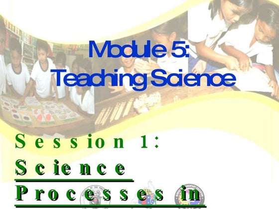 Science 3 parts and function of the plants | PDF