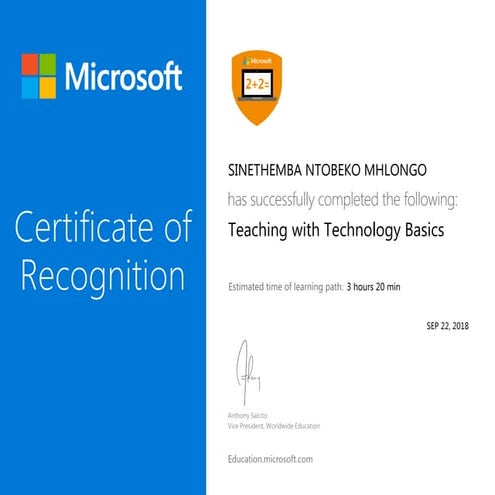 Teaching with technology basics | PDF