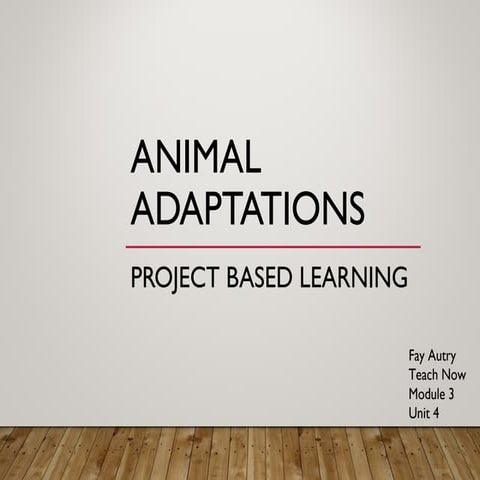 Animal Adaptations | PPT