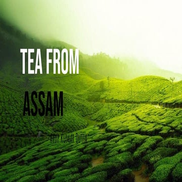 Tea from Assam .pdf