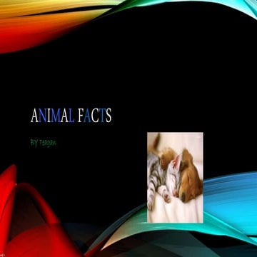 Animal Facts | PPTX