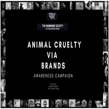 team-06_mehak_trang.pdf