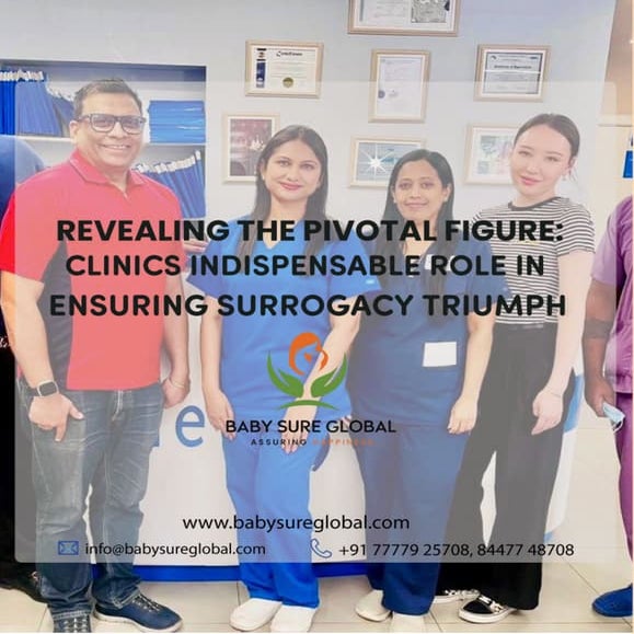 Revealing the pivotal figure: clinics indispensable | PDF | Infertility ...