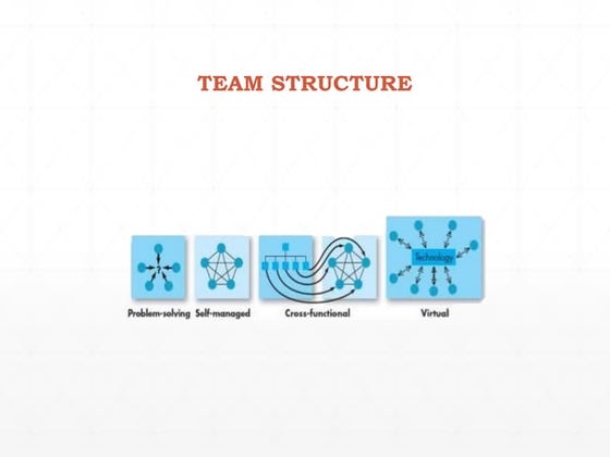 Organizations and Team Structure | PPT