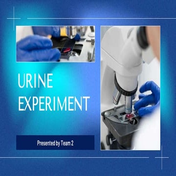 Urine Experiment | PPTX