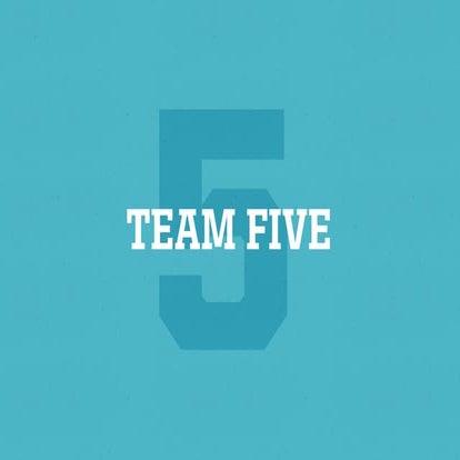 AIA Team 5 Presentation | PDF