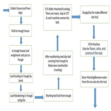 Tea manufacturing process detailed flow-chart | PPTX