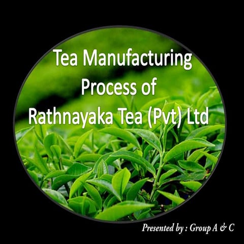 Tea manufacturing process part 1 | PPTX
