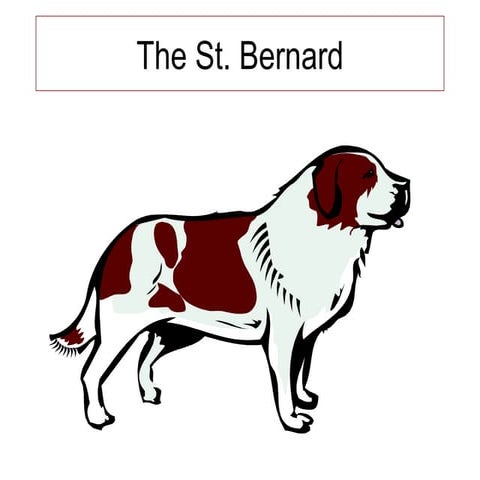 Team building animal characteristics(1) | PPT