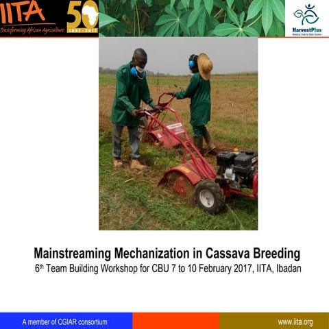 Mainstreaming Mechanization in Cassava Breeding | PPT