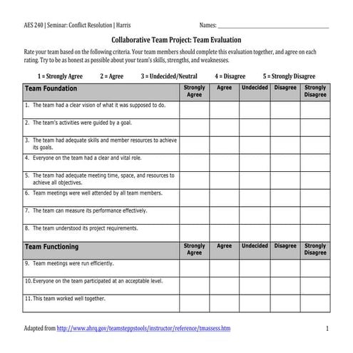 Team evaluation | PDF