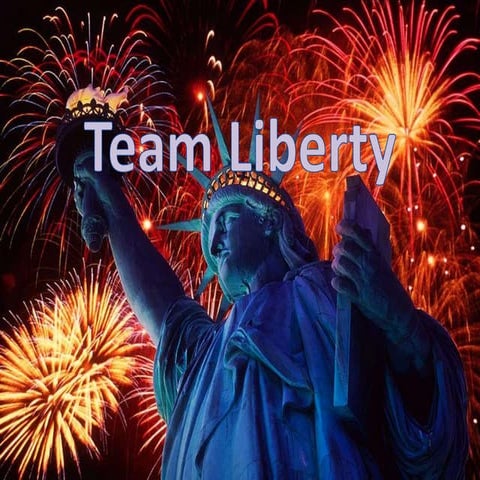 Team Liberty UOA Imagine 2010 Finals Presentation (text-narrated) | PPTX