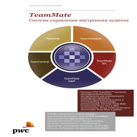 TeamMate Internal Audit software overview for Russian customers | PDF ...