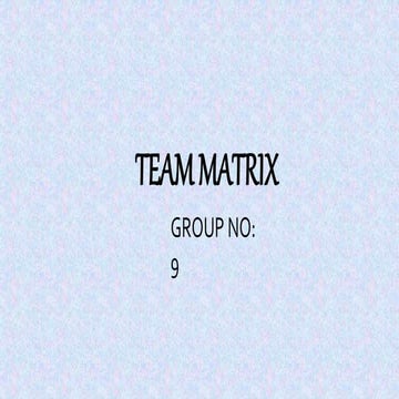 Team matrix | PPT