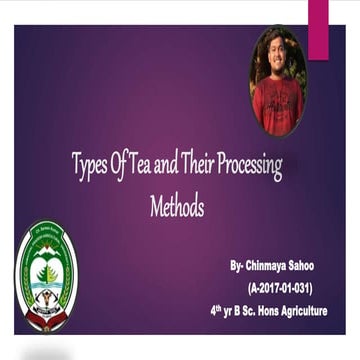 Types of Tea and their Processing Methods | PPTX