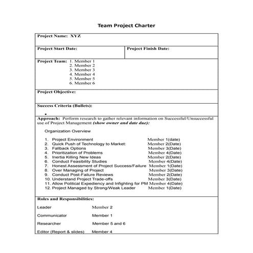 Team project charter | PDF
