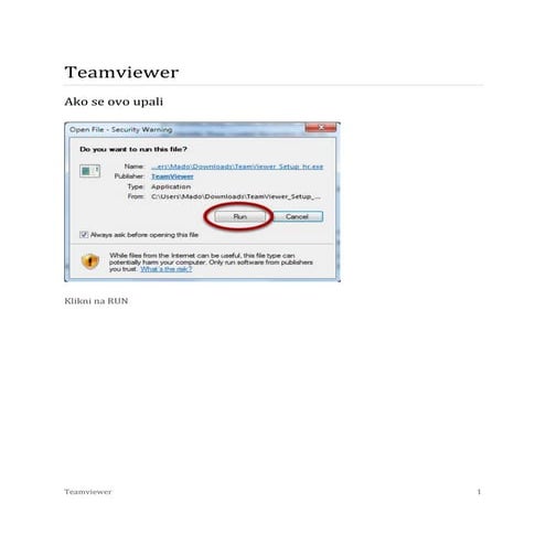 Teamviewer | DOCX