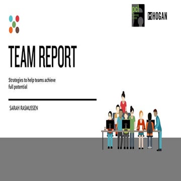 How to Help Teams Reach Their Full Potential Hogan Team Report | PDF