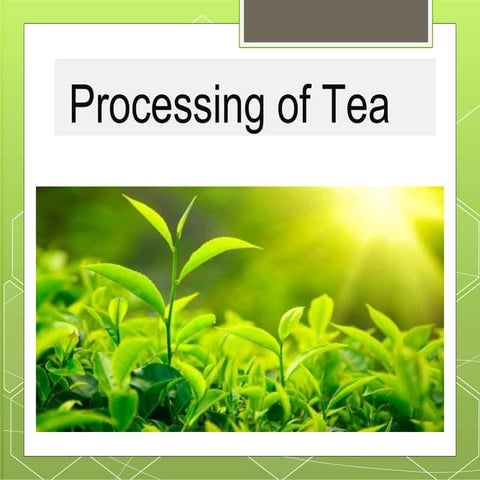 Tea Processing.pptx
