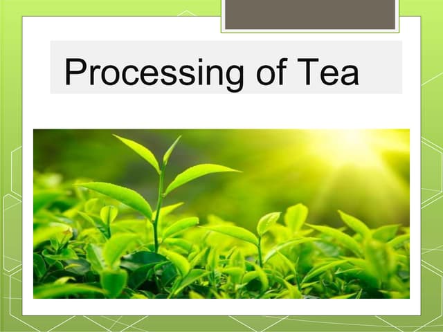 Process flow chart tea processing | PPTX